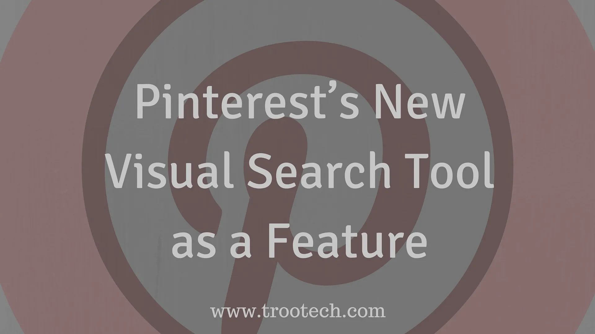 Pinterest’s New Visual Search Tool as a Feature